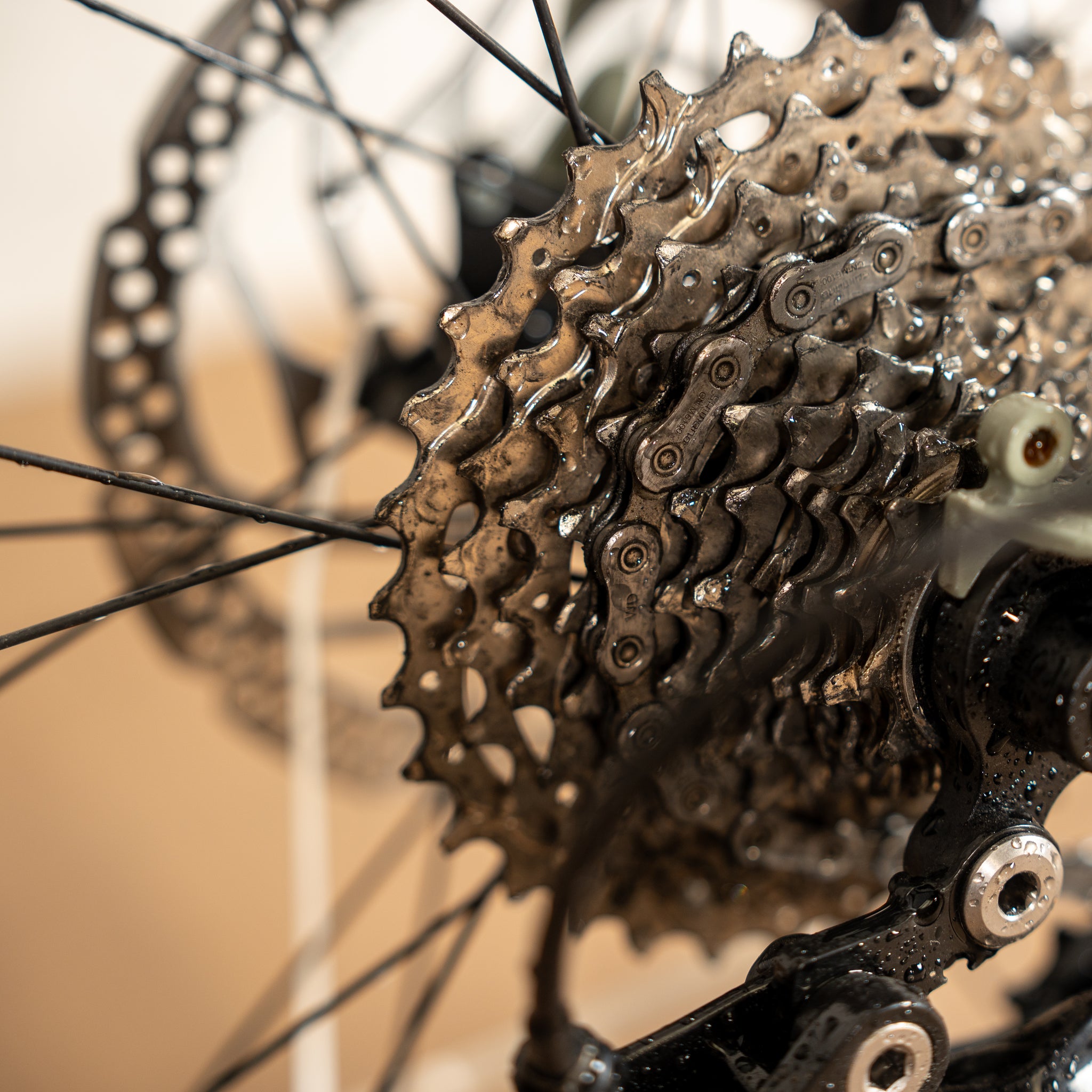 67 - Adventure Disc 2 (Large) – Temple Outlet