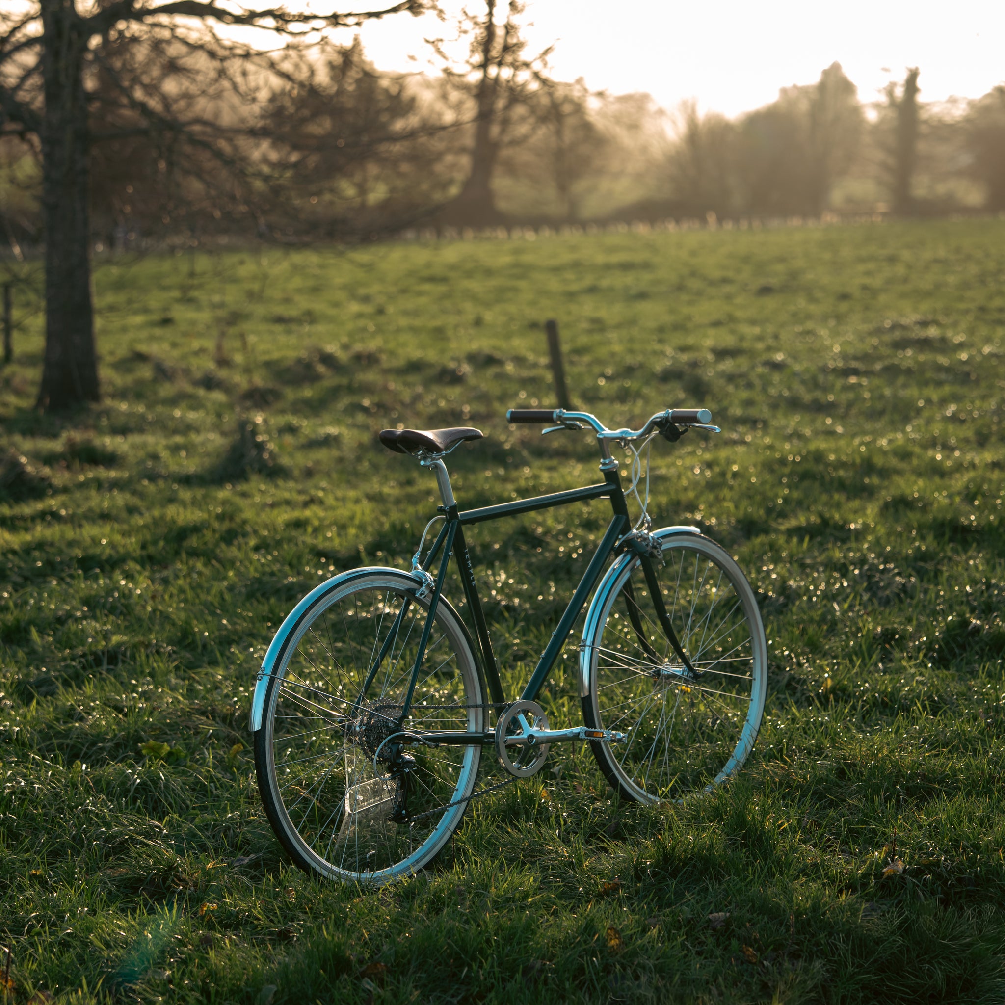 25 - Classic Lightweight (Medium) – Temple Outlet